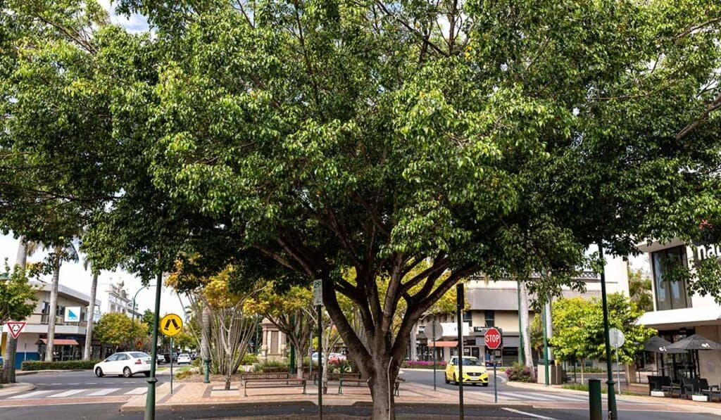 Nicholas Hess • Small Business Financial Counselling Service (SBFCS ...